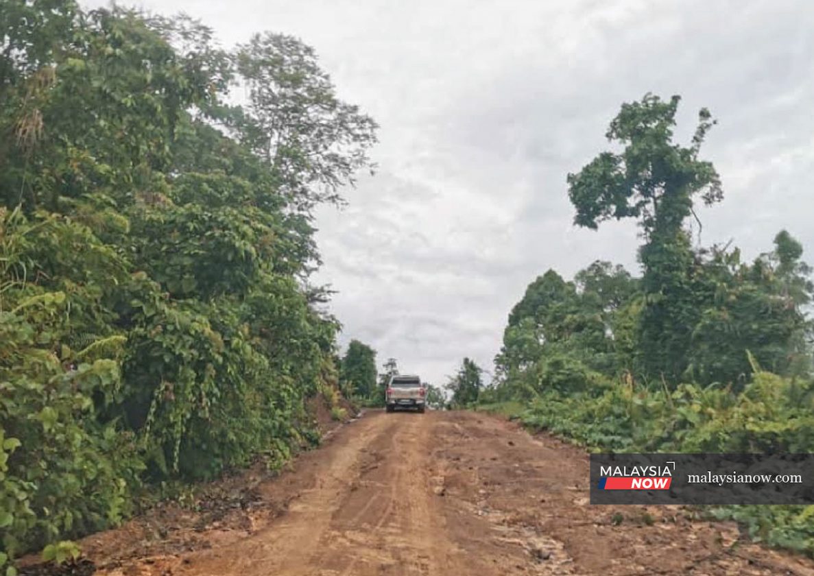 From crocodiles to WiFi: Sarawak’s rural students struggle with school ...
